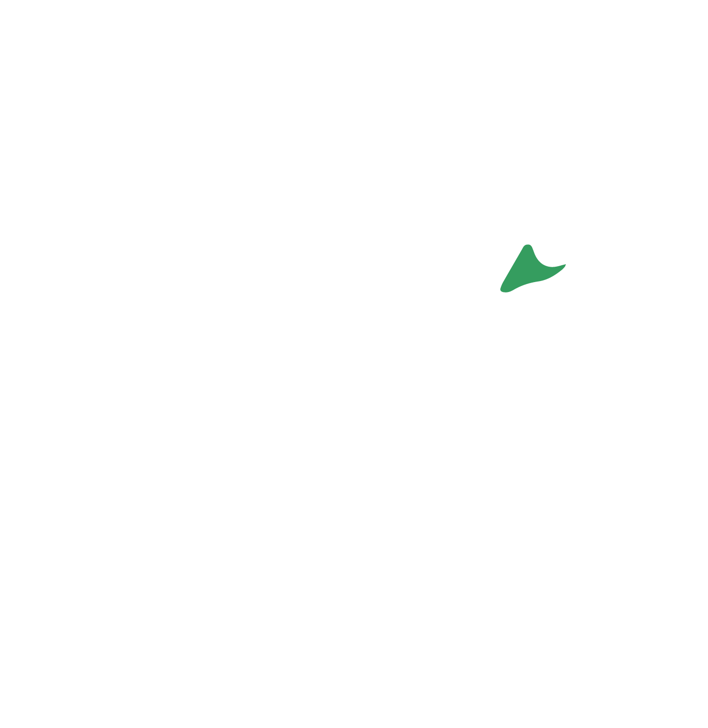Home - Birdies Grill & Tavern
